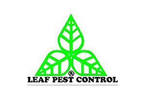 Leaf Pest Control